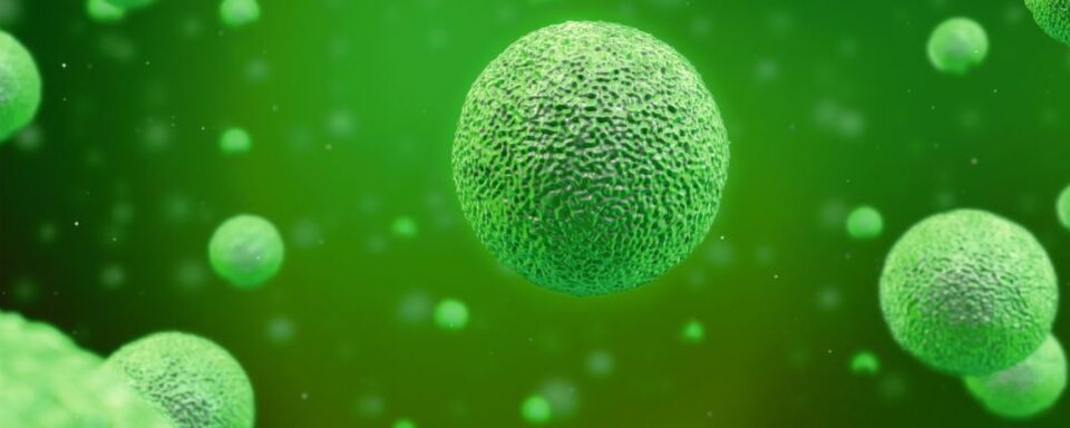 Zellbiologie: Reproduzierbarkeit und Präzision auch bei schwierigen ...