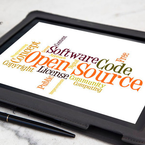 Embedded Software Engineering - Fachwissen