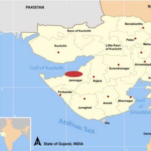 Planned Maintenance Turnaround at Jamnagar Refinery Complex