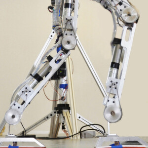 The Walking Robot: Motoren treiben Knöchel-, Knie- und Hüftgelenk an