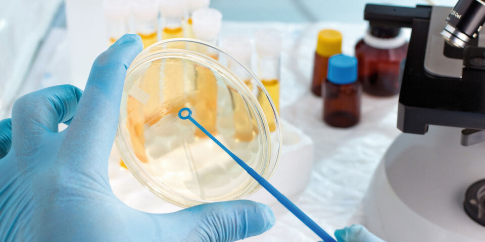 So vermeiden Sie alltägliche Fehler im Labor